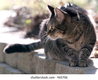 Stock Photo and Image Portfolio by Brandon Heiss | Shutterstock