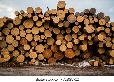 407 Butt ends of logs Images, Stock Photos & Vectors | Shutterstock