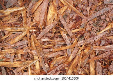 Cut Off Pine Tree Bark Stock Photo 1014413509 | Shutterstock