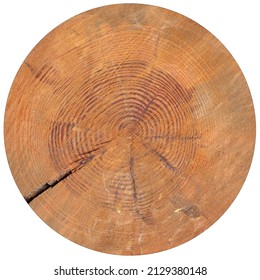 Cut Pine Tree Trunk Isolated On Stock Photo 2129380148 | Shutterstock