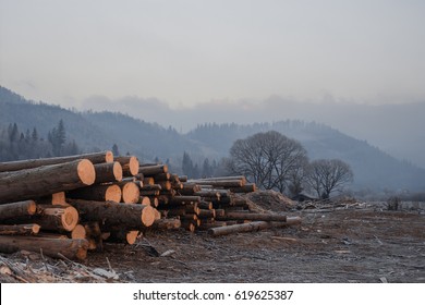 Cut Trees Mountain Stock Photo 619625387 | Shutterstock