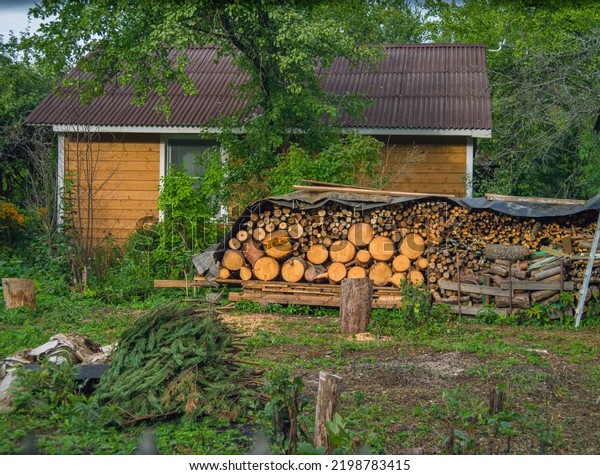 Cut Trees On Plot Harvesting Firewood Stock Photo 2198783415 | Shutterstock