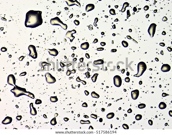 Cutaneous Sebum Under Microscope Stock Photo 517586194 | Shutterstock
