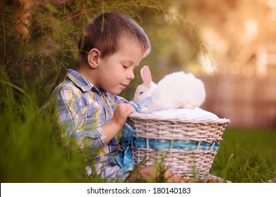 Best Easter On Farm Royalty-Free Images, Stock Photos & Pictures ...