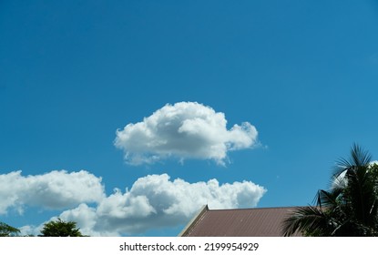 Cute Clouds Turtle Flew Into Clouds Stock Photo 2199954929 | Shutterstock