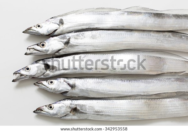 Cutlass Fish Stock Photo 342953558 | Shutterstock