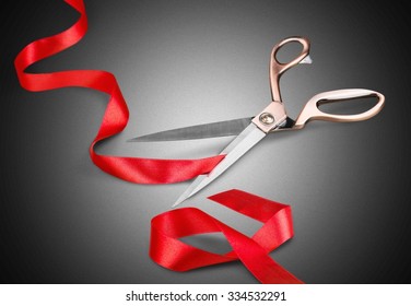 Cutting Stock Photo 334532291 | Shutterstock