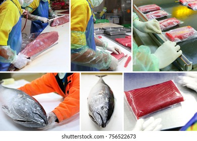 194 Tuna processing factory Images, Stock Photos & Vectors | Shutterstock