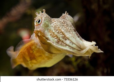 Stock Photo and Image Portfolio by Marc Purnell | Shutterstock