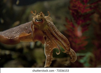 Stock Photo and Image Portfolio by Marc Purnell | Shutterstock