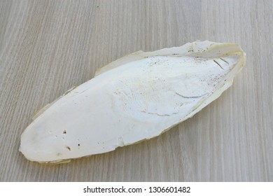 Cuttlefish Bone Isolated Stock Photo 1306601482 | Shutterstock