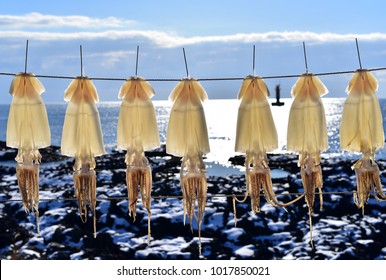 701 Dry cuttle Images, Stock Photos & Vectors | Shutterstock