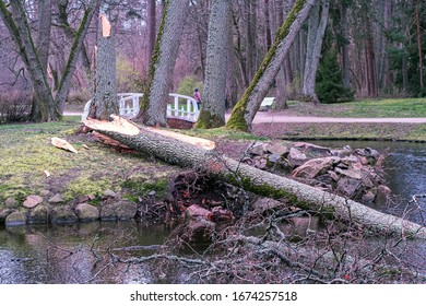 Hurricane laura Images, Stock Photos & Vectors | Shutterstock