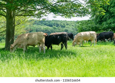 392 Face same way Images, Stock Photos & Vectors | Shutterstock