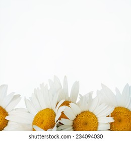 13,874 Yellow white daisy borders Images, Stock Photos & Vectors ...