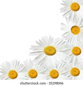 Daisy Border Stock Photo 35298046 | Shutterstock