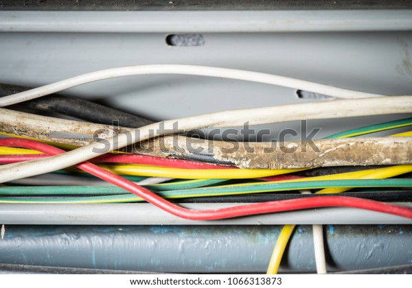 Стоковая фотография 1066313873: Damage Cable Wire Rat Bite Causing ...