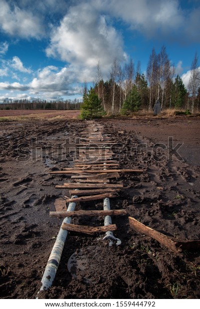 Damaged Pathway Bog Stock Photo 1559444792 | Shutterstock