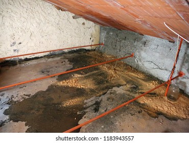122 Attic damp Images, Stock Photos & Vectors | Shutterstock