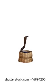 3,197 Dancing snake Images, Stock Photos & Vectors | Shutterstock