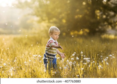 Mommy Dandelions Stock Photo 397102276 | Shutterstock