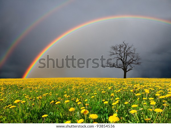1,018 Dandelion Rainbow Color Images, Stock Photos & Vectors | Shutterstock