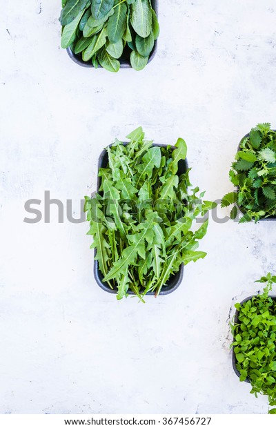 Dandelions Container Packaging Spring Fresh Herb Stock Photo 367456727 ...