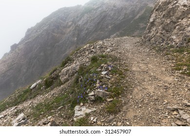 Dangerous Mountain Path Stock Photo 312457907 | Shutterstock