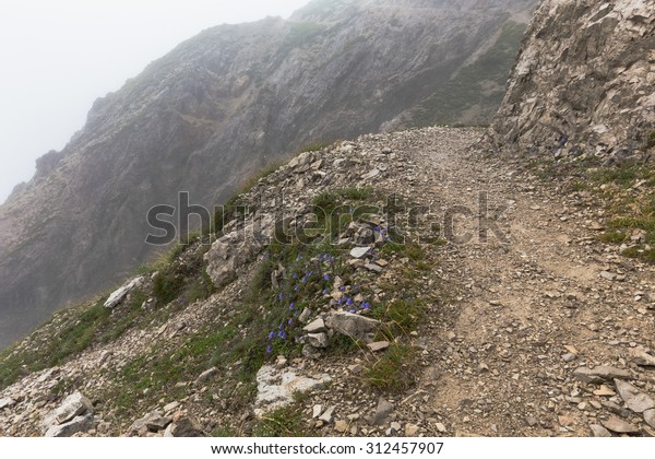 Dangerous Mountain Path Stock Photo 312457907 | Shutterstock
