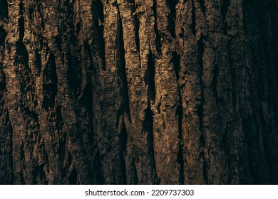 Dark Bark Texture Close Stock Photo 2209737303 | Shutterstock