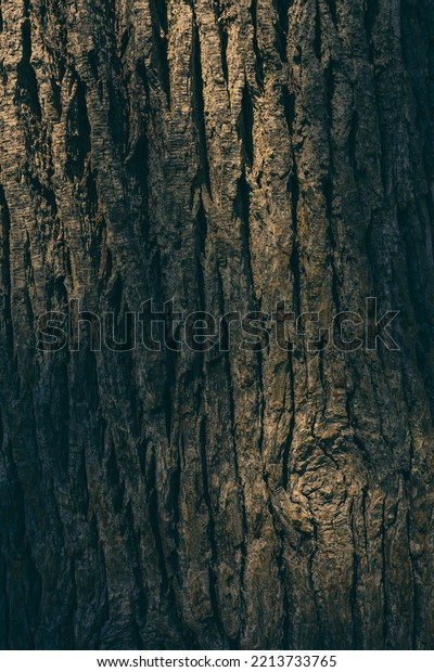 Dark Bark Texture Close Stock Photo 2213733765 | Shutterstock