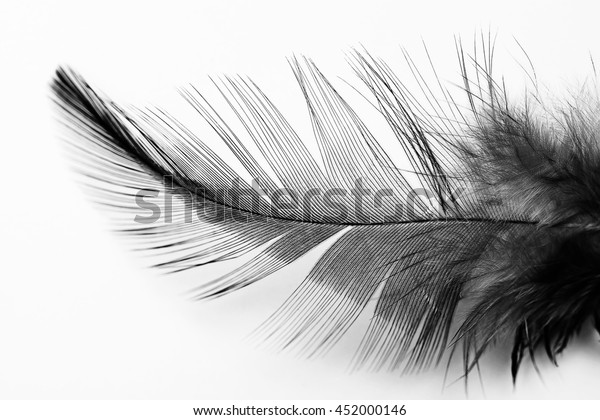Dark Black Feather Background Stock Photo 452000146 | Shutterstock