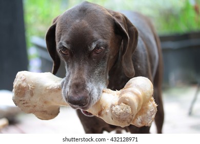 Rifrug Images, Stock Photos & Vectors | Shutterstock