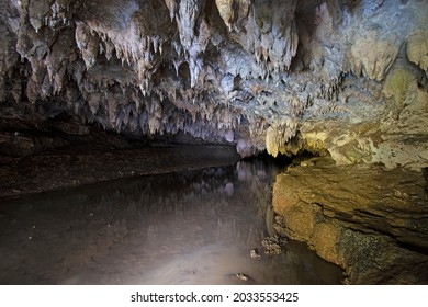 752 Flashlight cave Images, Stock Photos & Vectors | Shutterstock