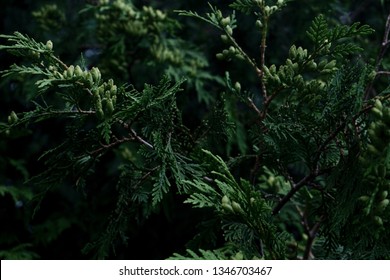 Stock Photo and Image Portfolio by Katherine Clara | Shutterstock