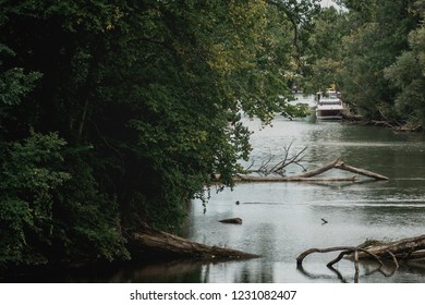 Dark Foreboding River Landscape Stock Photo 1231082407 | Shutterstock