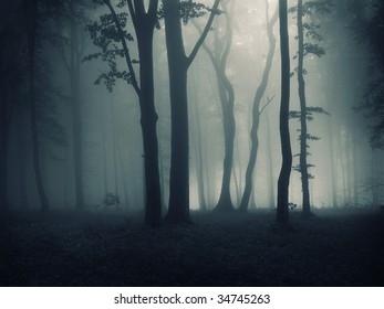72,901 Rain mist forest Images, Stock Photos & Vectors | Shutterstock