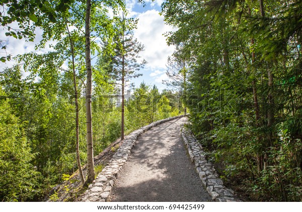 Dark Forest Road Stock Photo 694425499 | Shutterstock