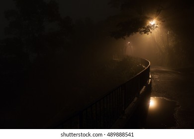 Dark Misty Path Stock Photo 489888541 | Shutterstock