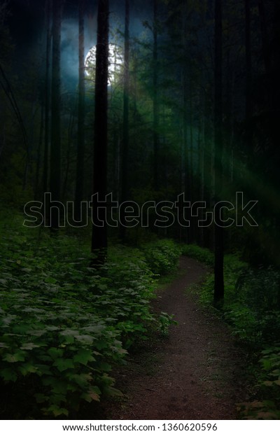 Dark Night Forest Moon Light Stock Photo 1360620596 | Shutterstock
