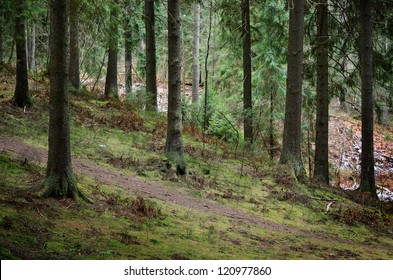 317,097 Wooded area Images, Stock Photos & Vectors | Shutterstock