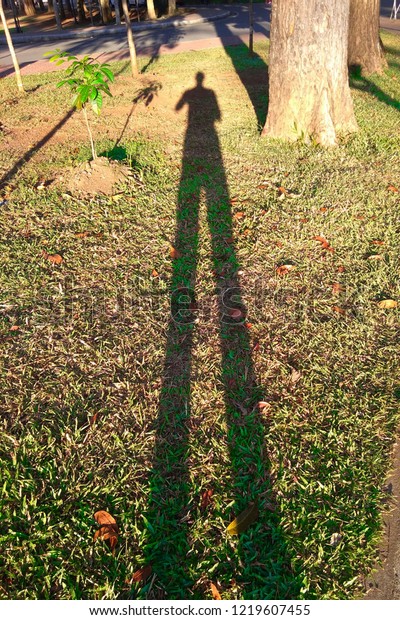 Dark Shadow Man Standing Front Sunlight Stock Photo 1219607455 ...