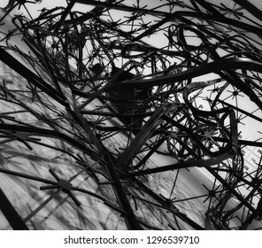 Dark Side Stock Photo 1296539710 | Shutterstock