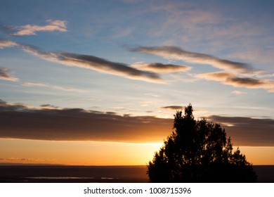 Dark Tree Foreground Sunset Background Stock Photo (Edit Now) 1008715396