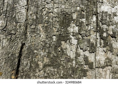 Dark Tree Texture Stock Photo 324980684 | Shutterstock