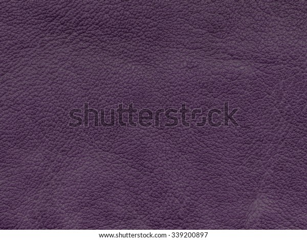 Dark Violet Leather Texture Useful Background Stock Photo 339200897 ...