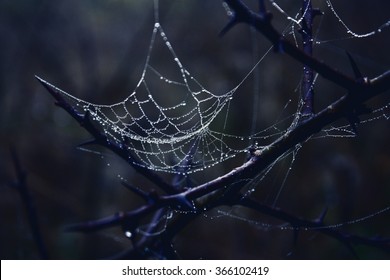 4,018 Deep dark web Stock Photos, Images & Photography | Shutterstock