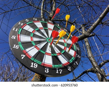 Darts Board Multiple Darts Hanging Tree Stock Photo 620953760 ...