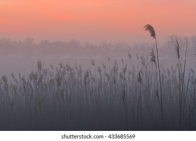 Absolute photo의 스톡 사진 및 이미지 포트폴리오 | Shutterstock