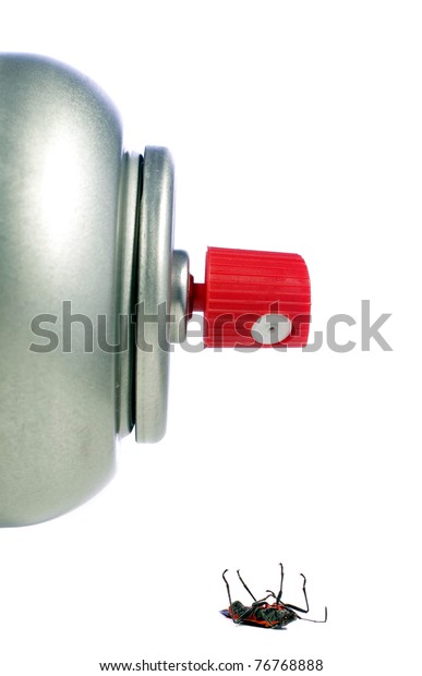 Dead Bug Spray Can Insect Killer Stock Photo (Edit Now) 76768888